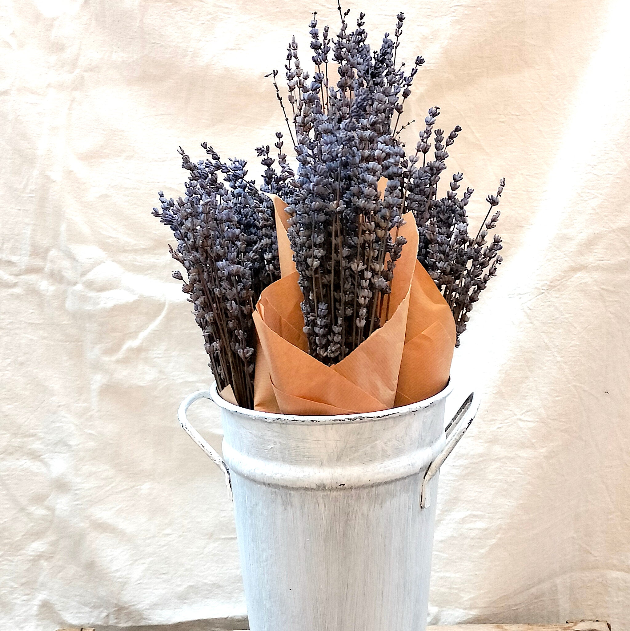 Lavender – Rooted & Co